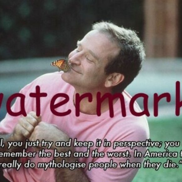 Wall Decor | Robin Williams Well You Just Try And Keep It In Quote ...